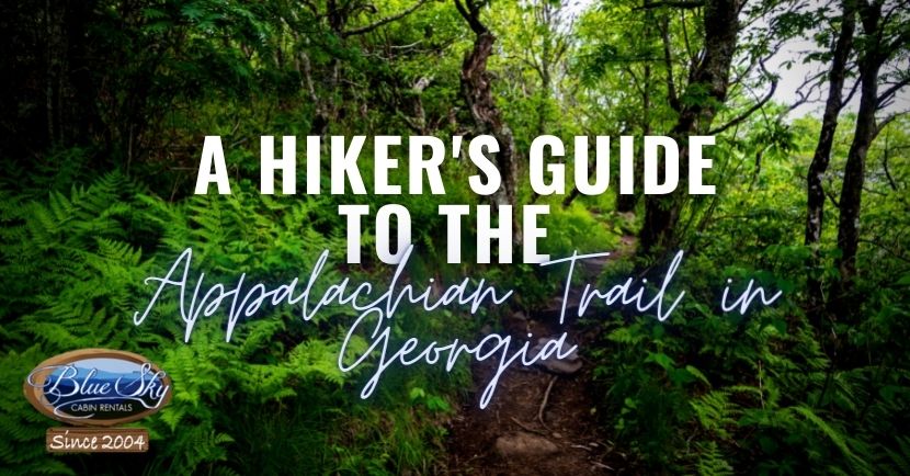 A Hikers Guide to the Appalachian Trail in Georgia | Blue Sky Cabin Rentals