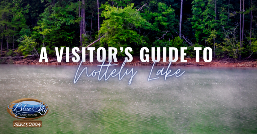 North Georgia Mountains Blog & News - Blue Sky Cabin Rentals